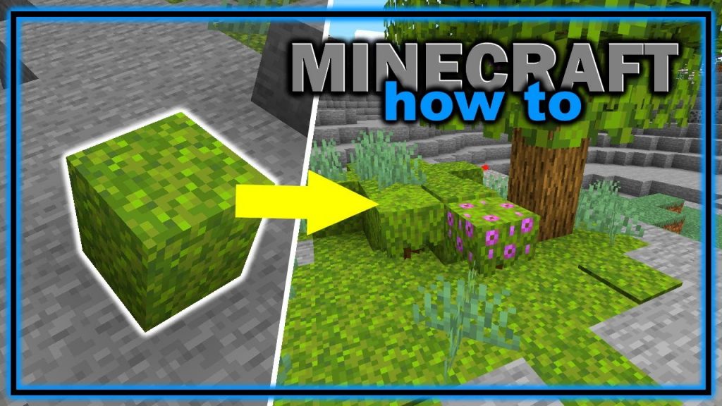 Minecraft: How to Get and Use Moss Blocks – NF17 Game Blog