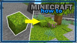 Minecraft: How to Get and Use Moss Blocks – NF17 Game Blog