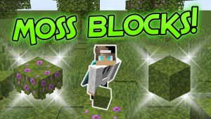 Minecraft: How to Get and Use Moss Blocks – NF17 Game Blog